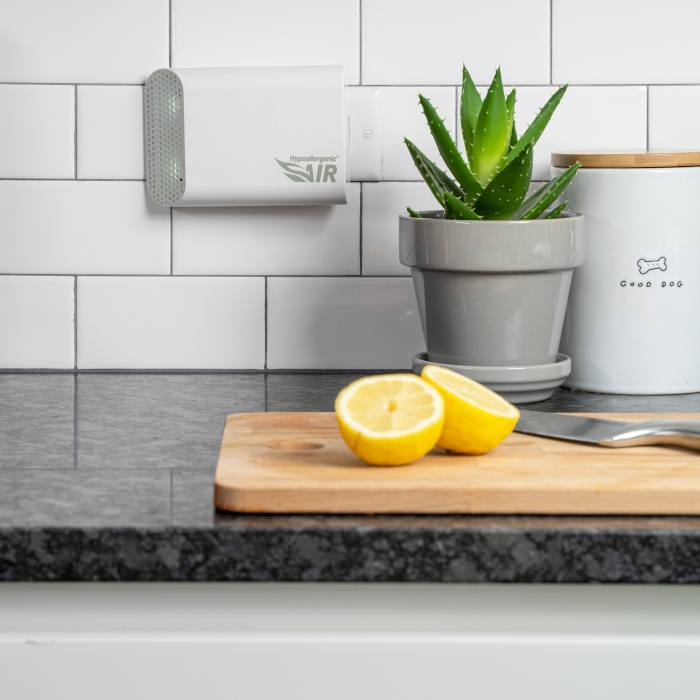 Mold Guard – Hypo Air